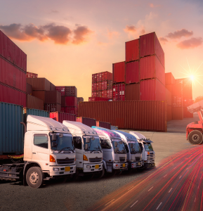 United Transport – Distribution & Transport Services